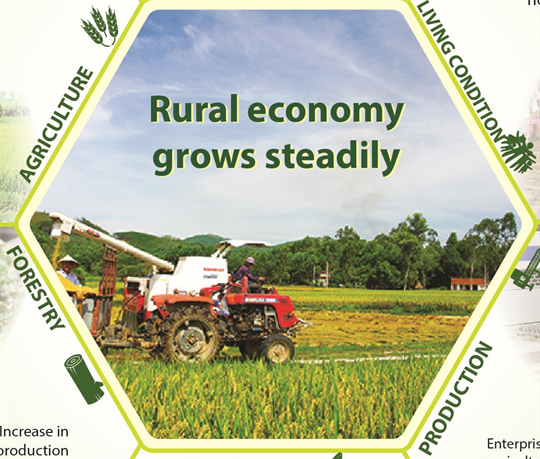 Rural economy grows steadily