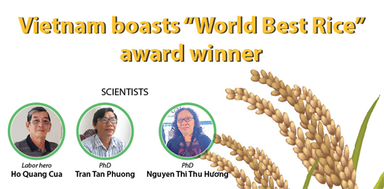 Vietnam’s rice variety recognised as best in world