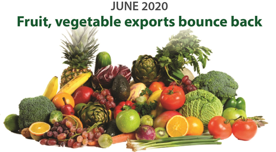 Fruit, vegetable exports bounce back in June 2020