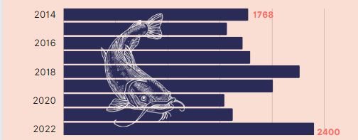 Tra fish industry: 20-year journey a miracle