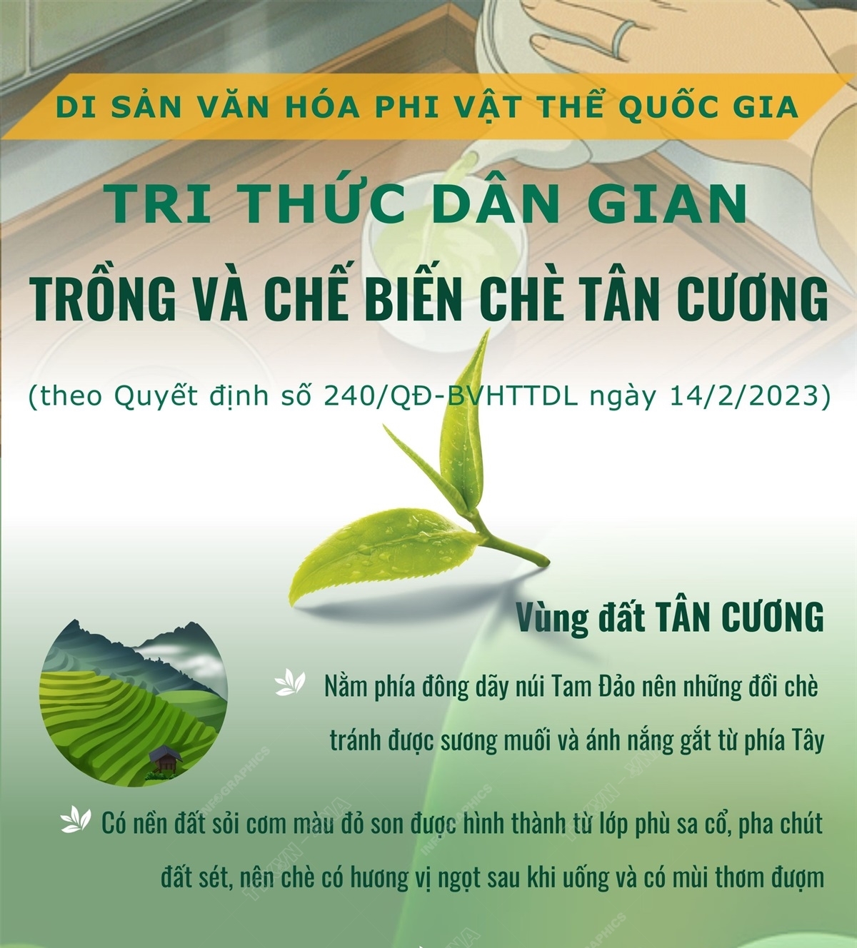 (Interactive) Tri thức dân gian trồng và chế biến chè Tân Cương - Di ...