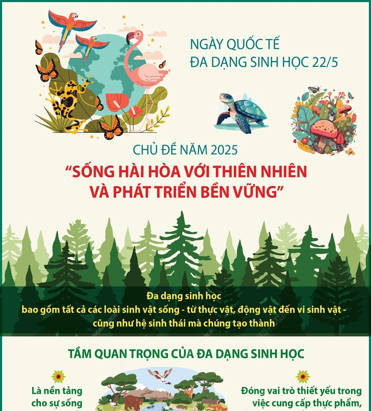 Ngày Quốc tế Đa dạng sinh học 22/5: Sống hài hòa với thiên nhiên và ...