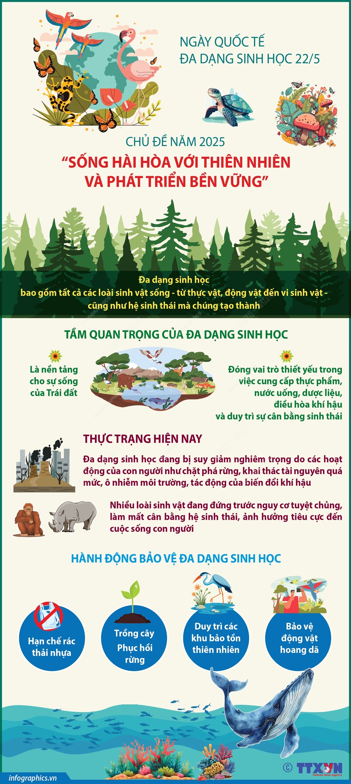 Ngày Quốc tế Đa dạng sinh học 22/5 vì tương lai bền vững - Brand-led ...