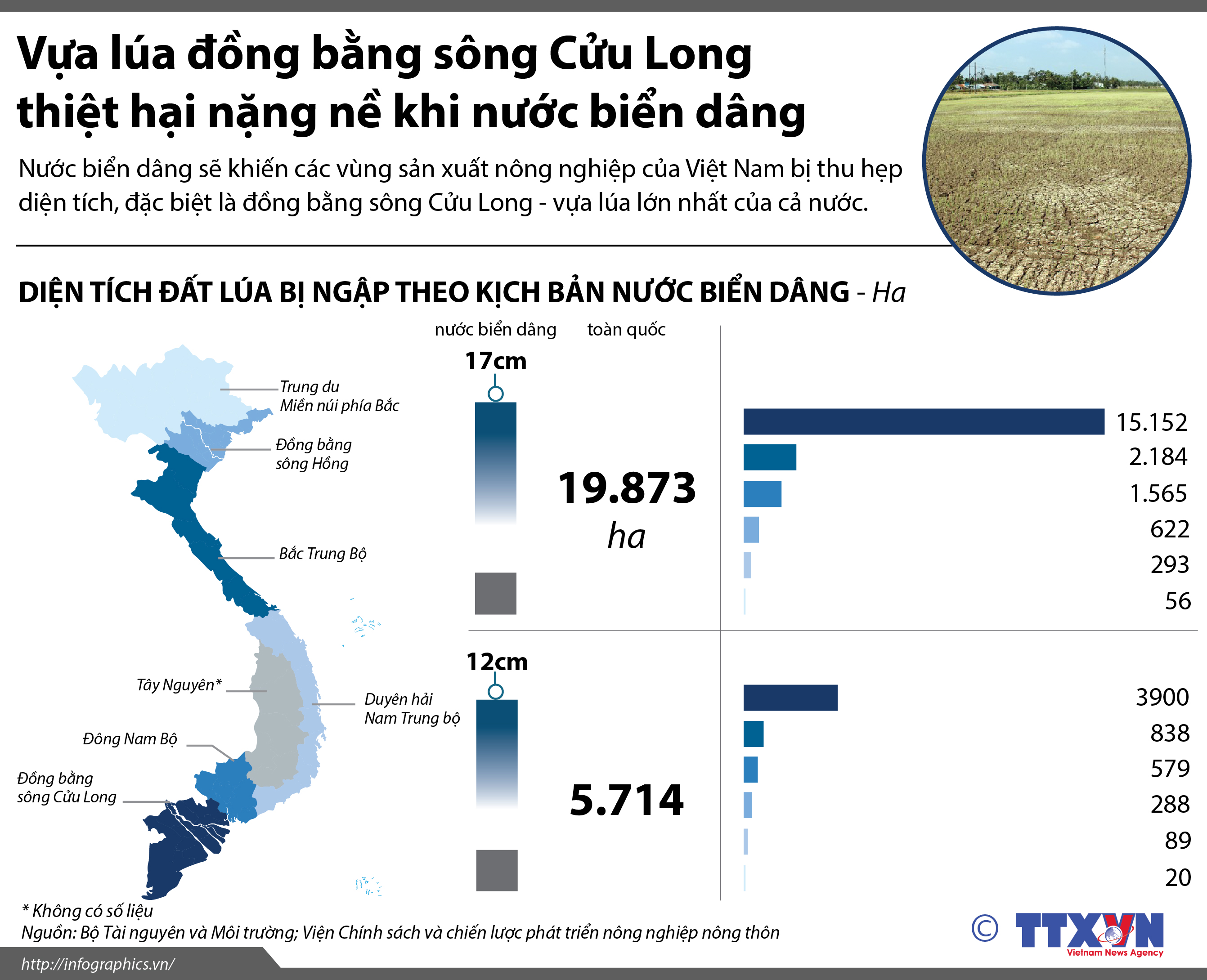 Hai Vụ Lúa Chính ở Đồng Bằng Sông Cửu Long
