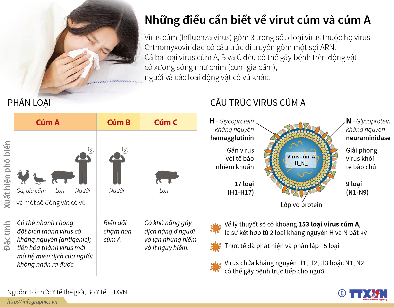 Những điều cần biết về virut cúm và cúm A